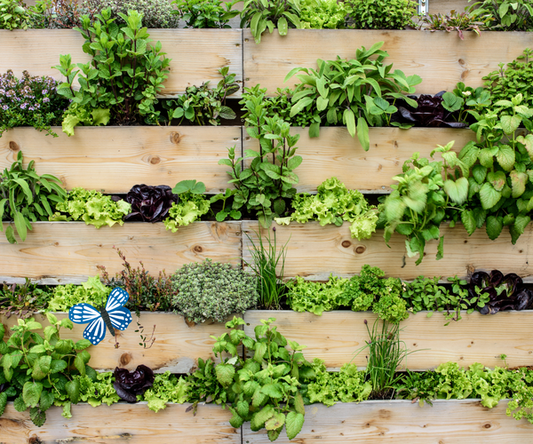 Zo maak je een verticale moestuin op je balkon | John & Co moestuin ...