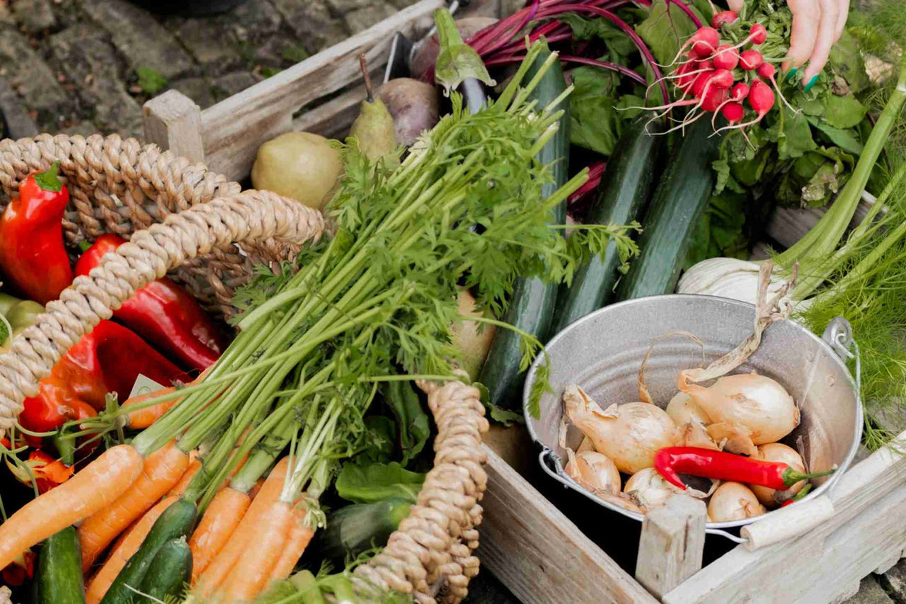 Hoe werkt bestuiving precies? 🐝 | John & Co