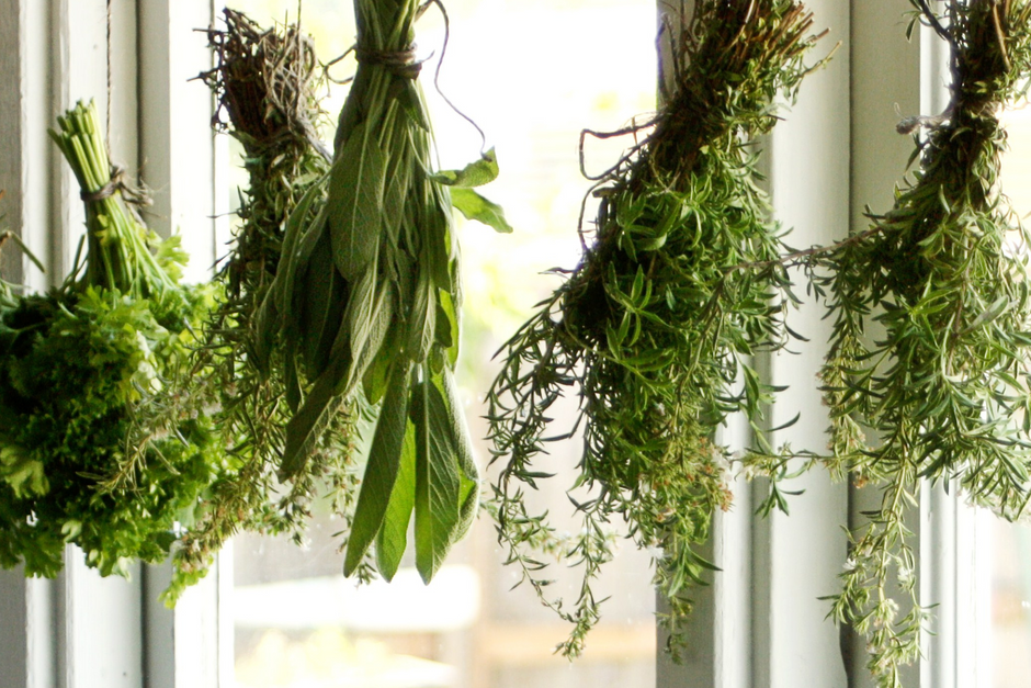 Verse kruiden drogen en bewaren🌿| John & Co